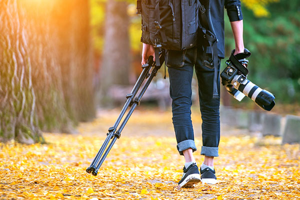 The Best Budget Travel Tripods for Photographers